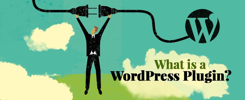 What is a WordPress Plugin? - WPeka